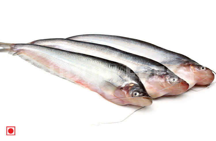 Pabda Fish / Butter Catfish 1 Kg – UDUPI FRESH