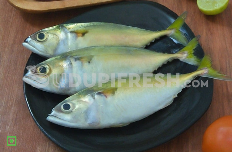 Indian Mackerel Bangda Fish/Medium ( 5 Count ) – UDUPI FRESH