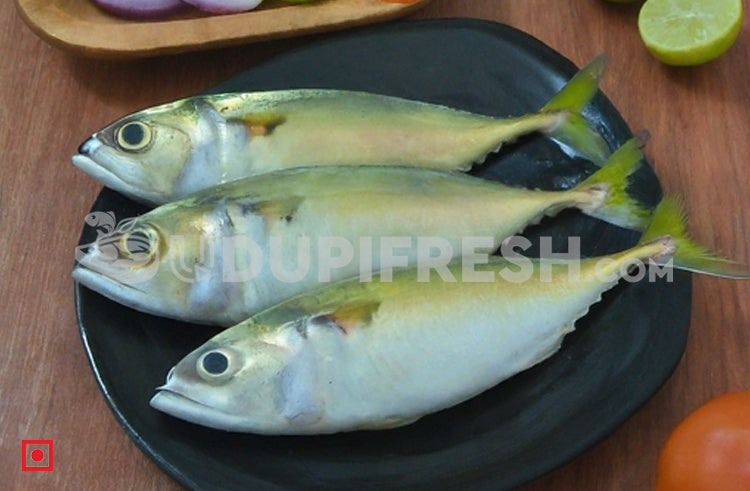 Indian Mackerel/ Bangda Fish, Small ( 5 count) – UDUPI FRESH