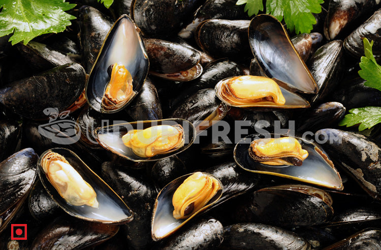 Fresh Mussels , 1 Kg – udupifresh.com