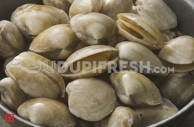 Marwai – Shell,Clam - Big (100 counts) – UDUPI FRESH