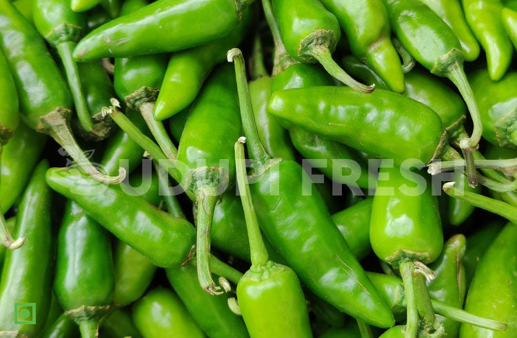 Fresh Curd Chilli (Dahi Mirchi) 500 g – UDUPI FRESH