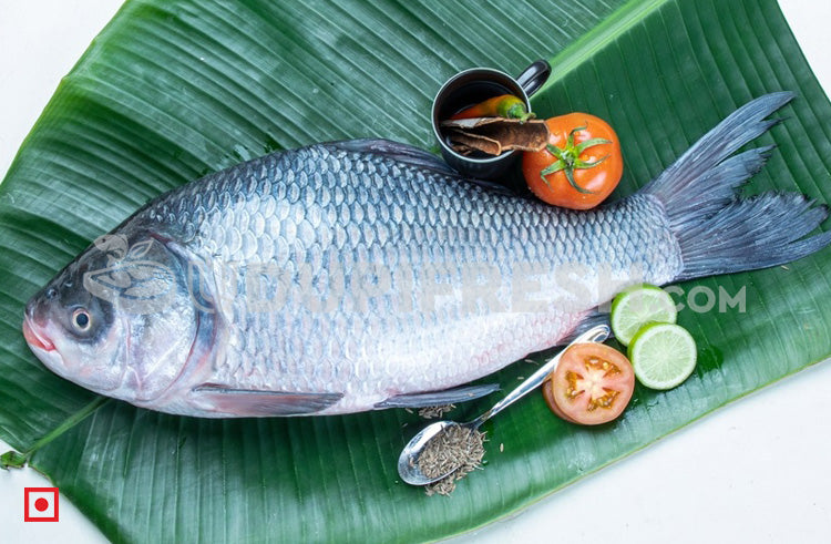 Freshwater fish Catla – udupifresh.com