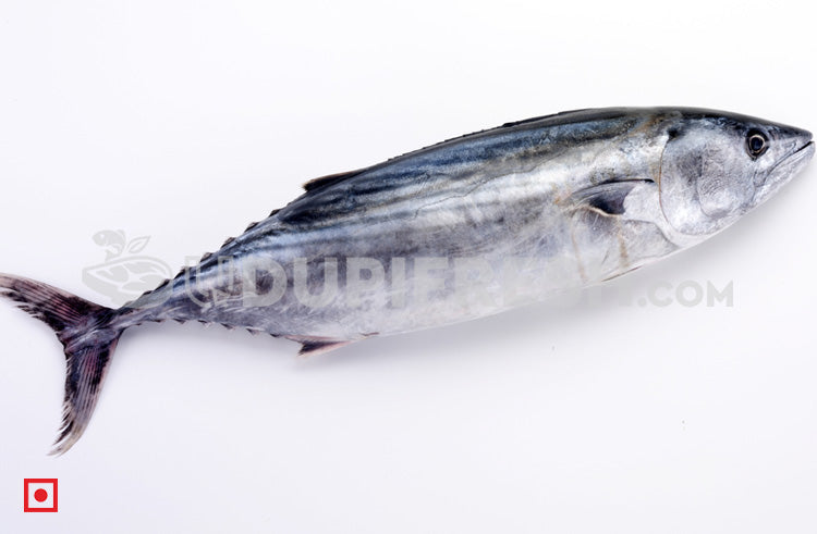 Fresh Kedar – Tuna Fish/ಟ್ಯೂನ ಮೀನು 1 Kg – UDUPI FRESH