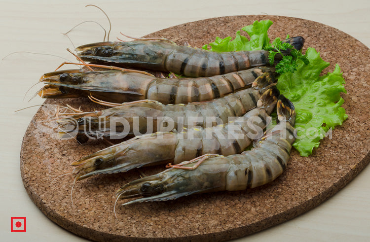 Tiger Prawn - Big Size 1 Kg – udupifresh.com