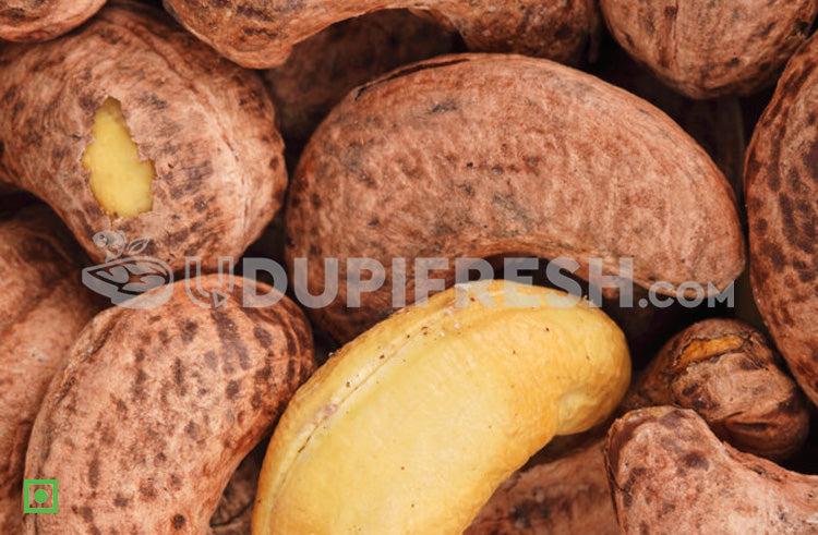 Cashew Rosted With Skin, 250 g – udupifresh.com