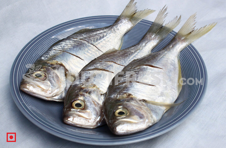 False Trevally / Ademeenu, 1 Kg – UDUPI FRESH