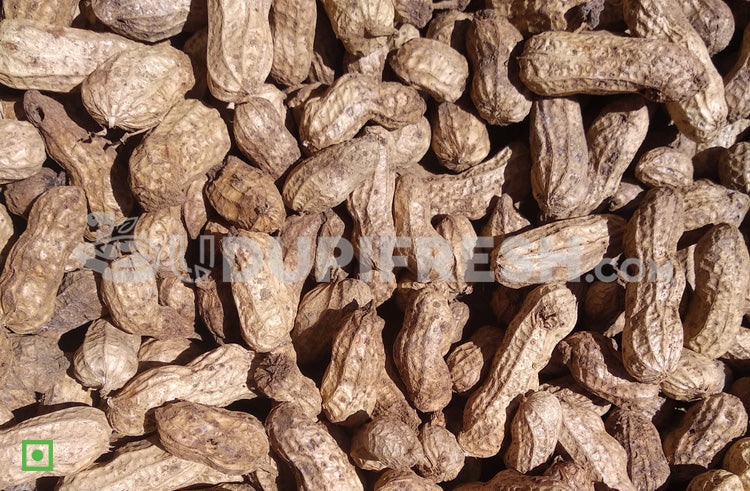 Raw groundnut with shell, 1 Kg – udupifresh.com