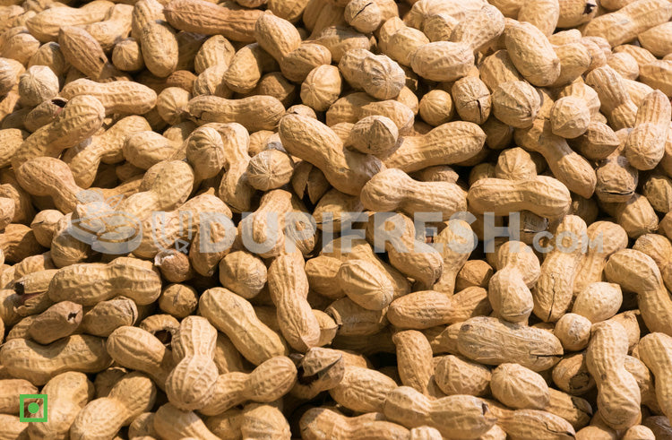 Raw groundnut with shell, 1 Kg – udupifresh.com