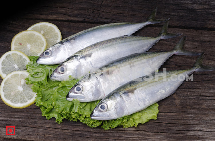 Indian Mackerel/ Bangda Fish, Small ( 5 count) – udupifresh.com