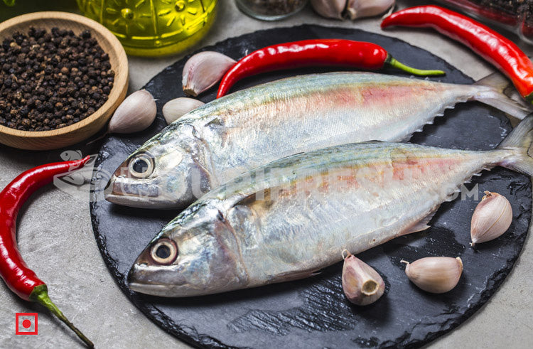 Indian Mackerel/Bangda, Big Size - ( 5 count ) – UDUPI FRESH