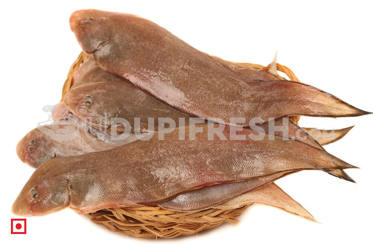 Ready to Cook - Rawa Marinated Medium Sole Fish / 500 g – UDUPI FRESH