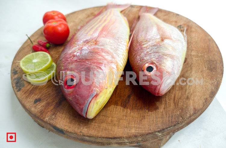 Rani, Pink Perch Fish ,1 Kg – UDUPI FRESH