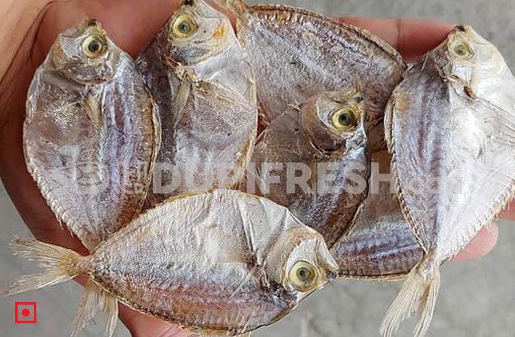 Silver Belly Dry Fish, 200 g – UDUPI FRESH