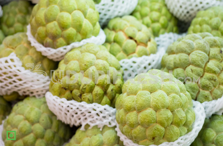 Golden Sitafal - 1 Kg – udupifresh.com