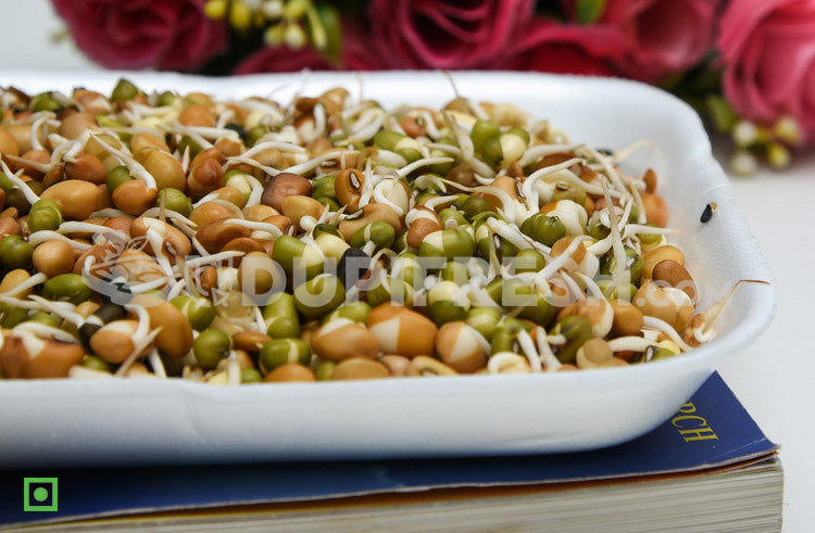 Sprouts - Mixed Gram, 100 g – UDUPI FRESH