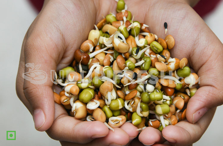 Sprouts - Mixed Gram, 100 g – UDUPI FRESH