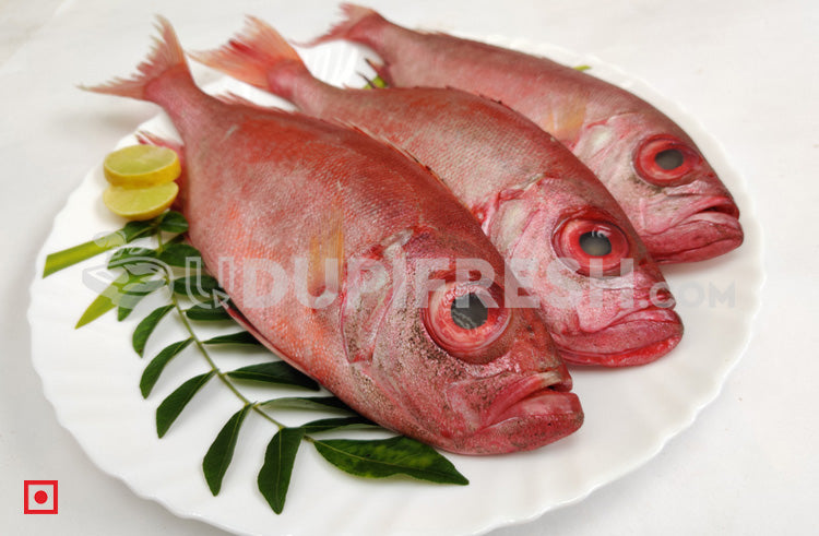 Disco , Big – Finned Bulleye, 1 Kg – udupifresh.com
