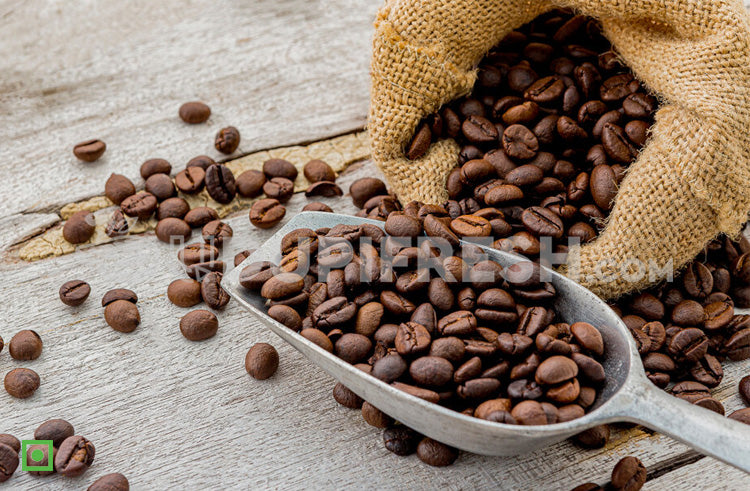 Roasted Coffee Beans, 250 g – UDUPI FRESH