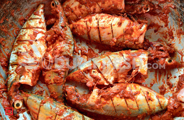 Ready to Cook - Marinated Medium Mackerel Fish 5 pc – UDUPI FRESH